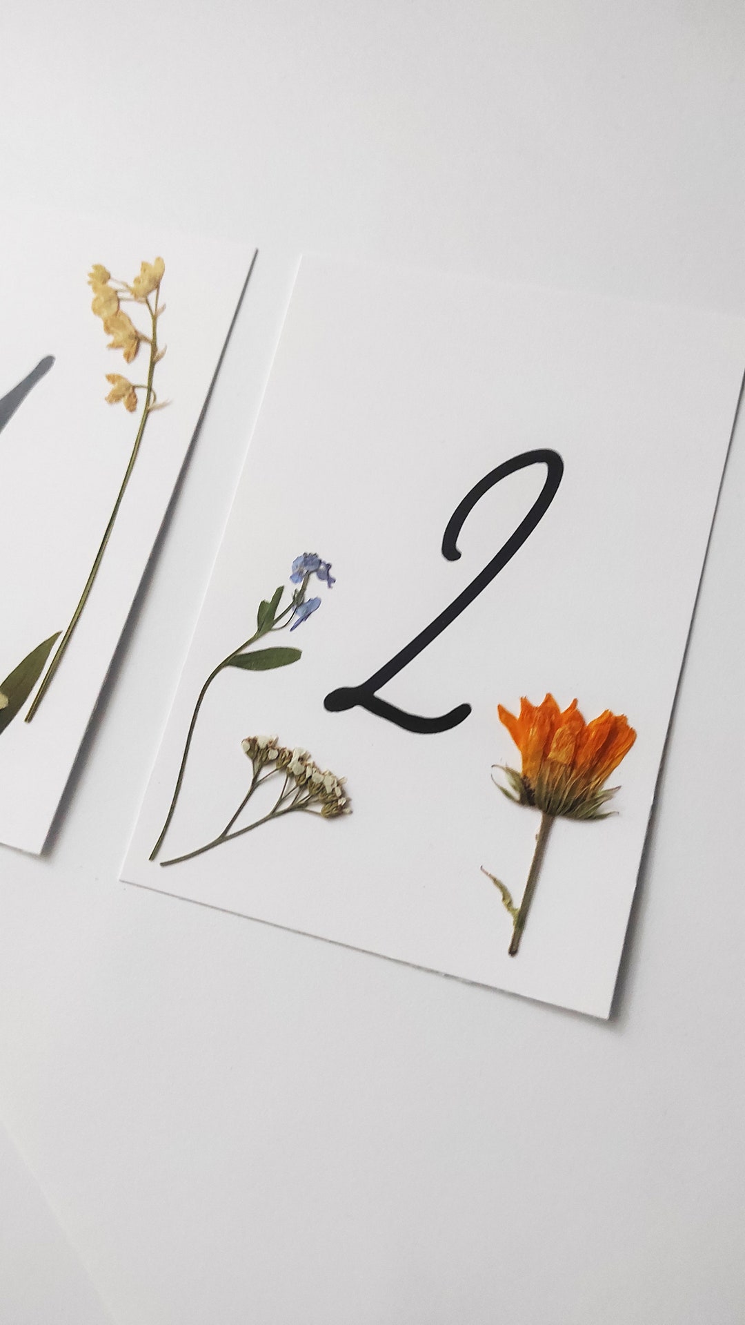 Table Number Cards With Pressed Flowers. Wedding Table Numbers With ...