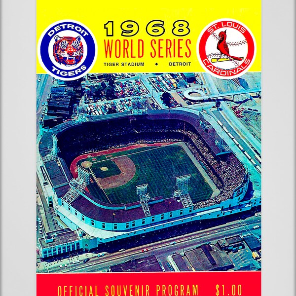 Framed Tiger Print - Etsy