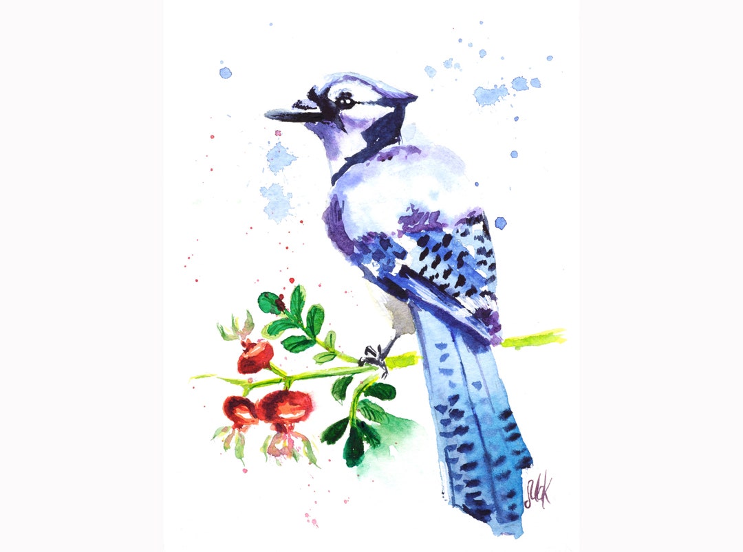Blue Jay Painting Canadian Bird Original Wall Art Tiny Bird on - Etsy