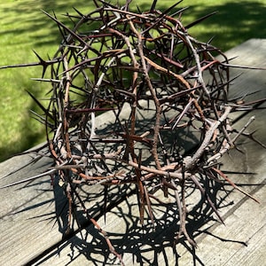MUSEUM “SHROUD of Turin” Quality Crown of Thorns Easter Jesus ...
