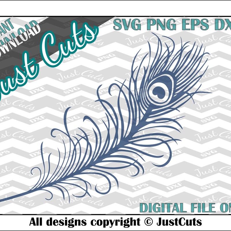 Peacock Feather Svg - Etsy