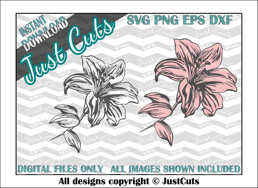 Detailed Lily SVG, Lilies, Lily, Flower, SVG, Eps, PNG, Dxf, Flower Svg ...
