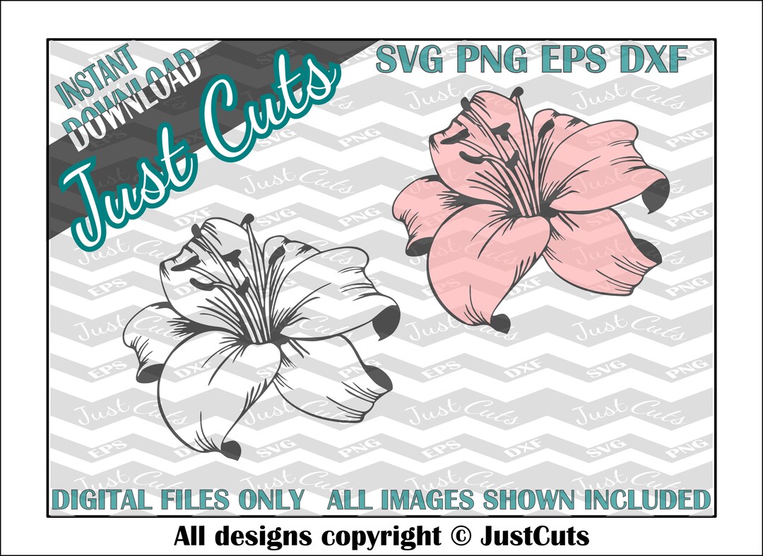 Lily Flower SVG, Lilies, Lily, Flower, SVG, Eps, PNG, Dxf, Flower Svg ...
