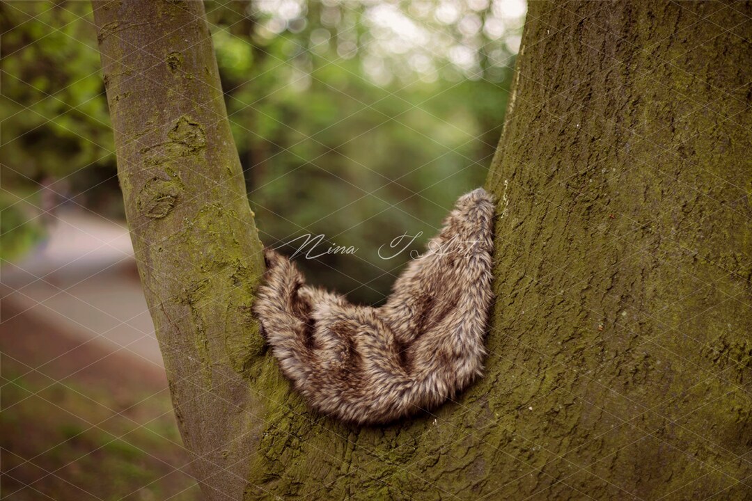 Digital Backdrop Newborn Baby Boy Girl Background on the Tree and Fur ...