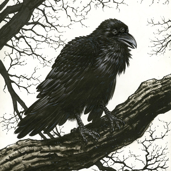 Three Eyed Raven - Etsy