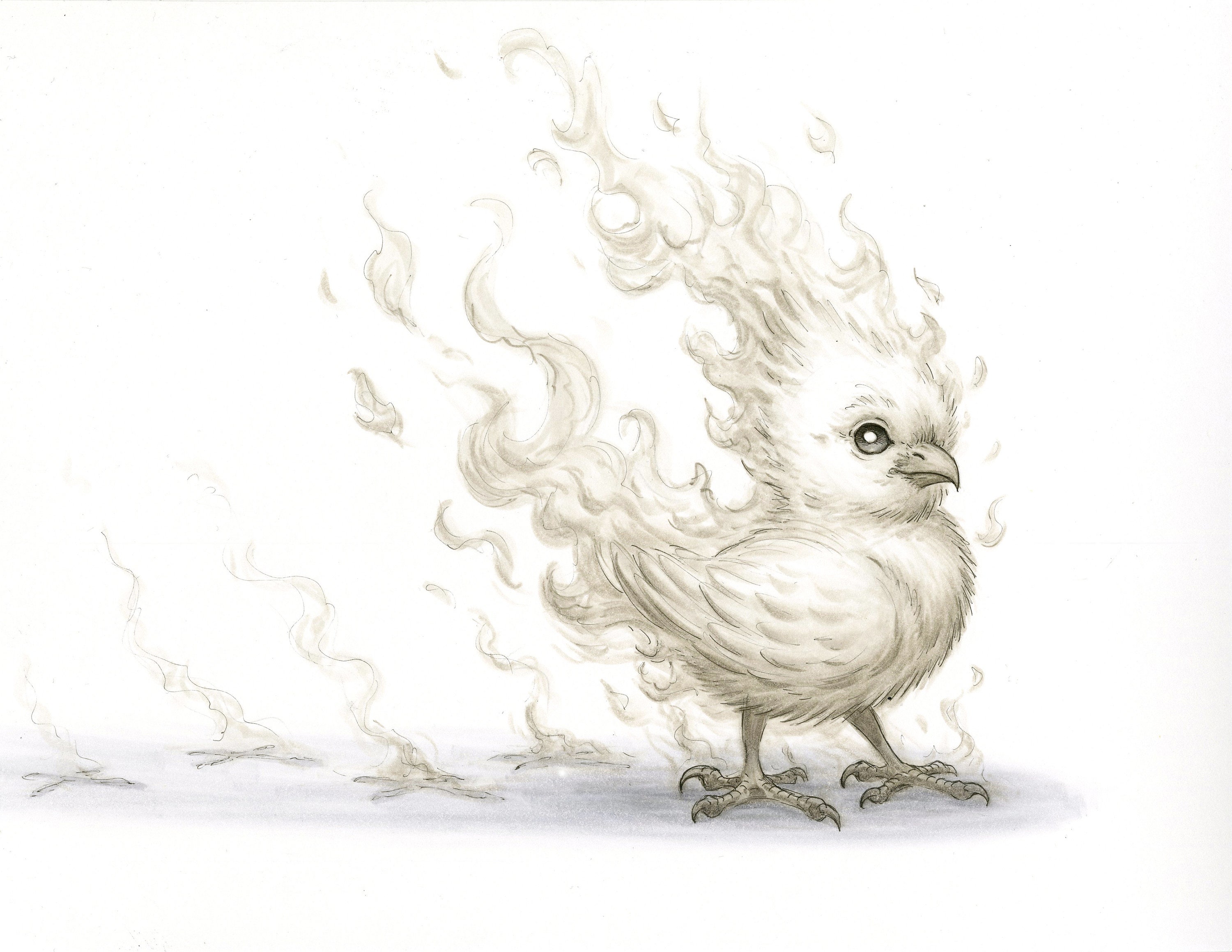 Phoenix Chick Print, Archival Ink Illustration (8.5x11) Myth in the ...