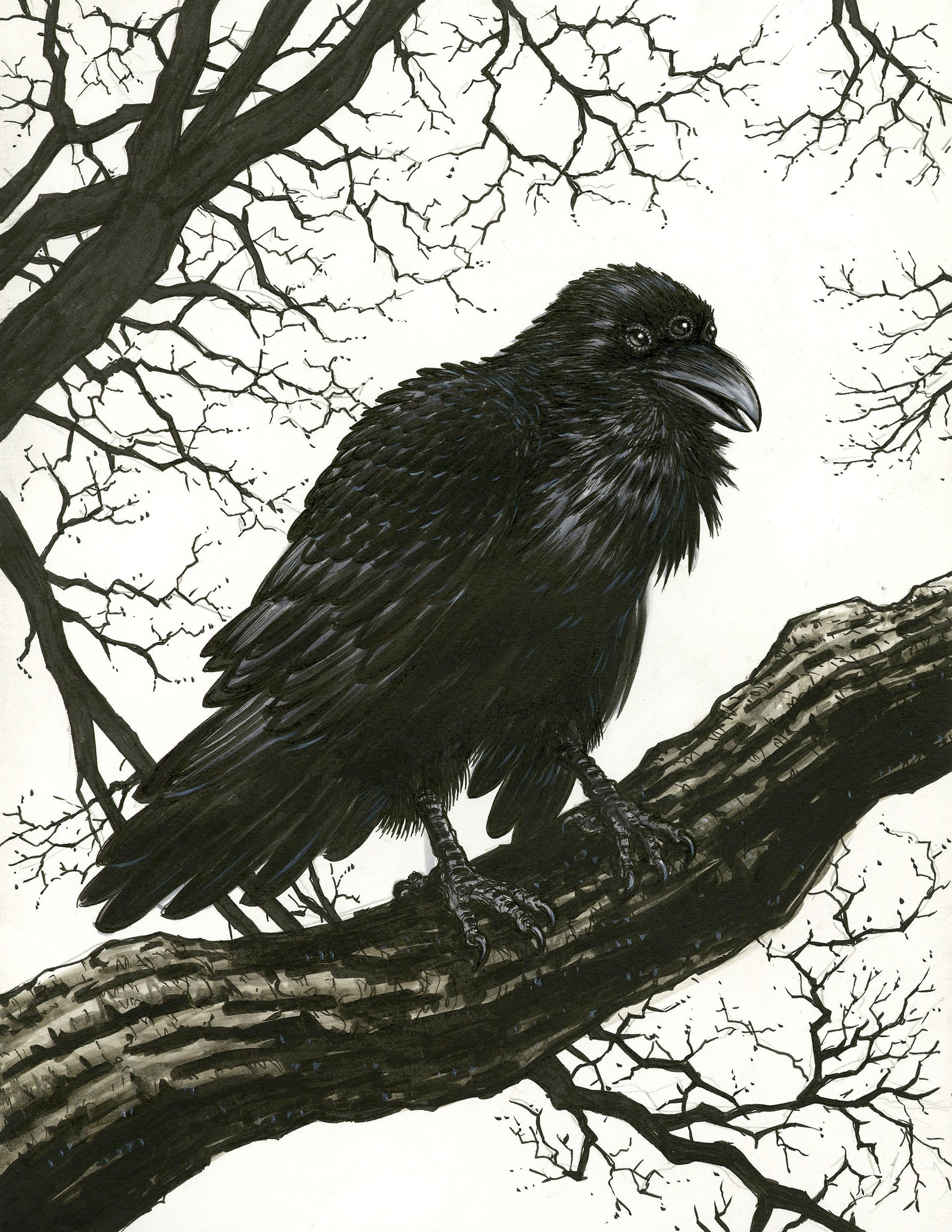 Three-eyed Raven - Etsy