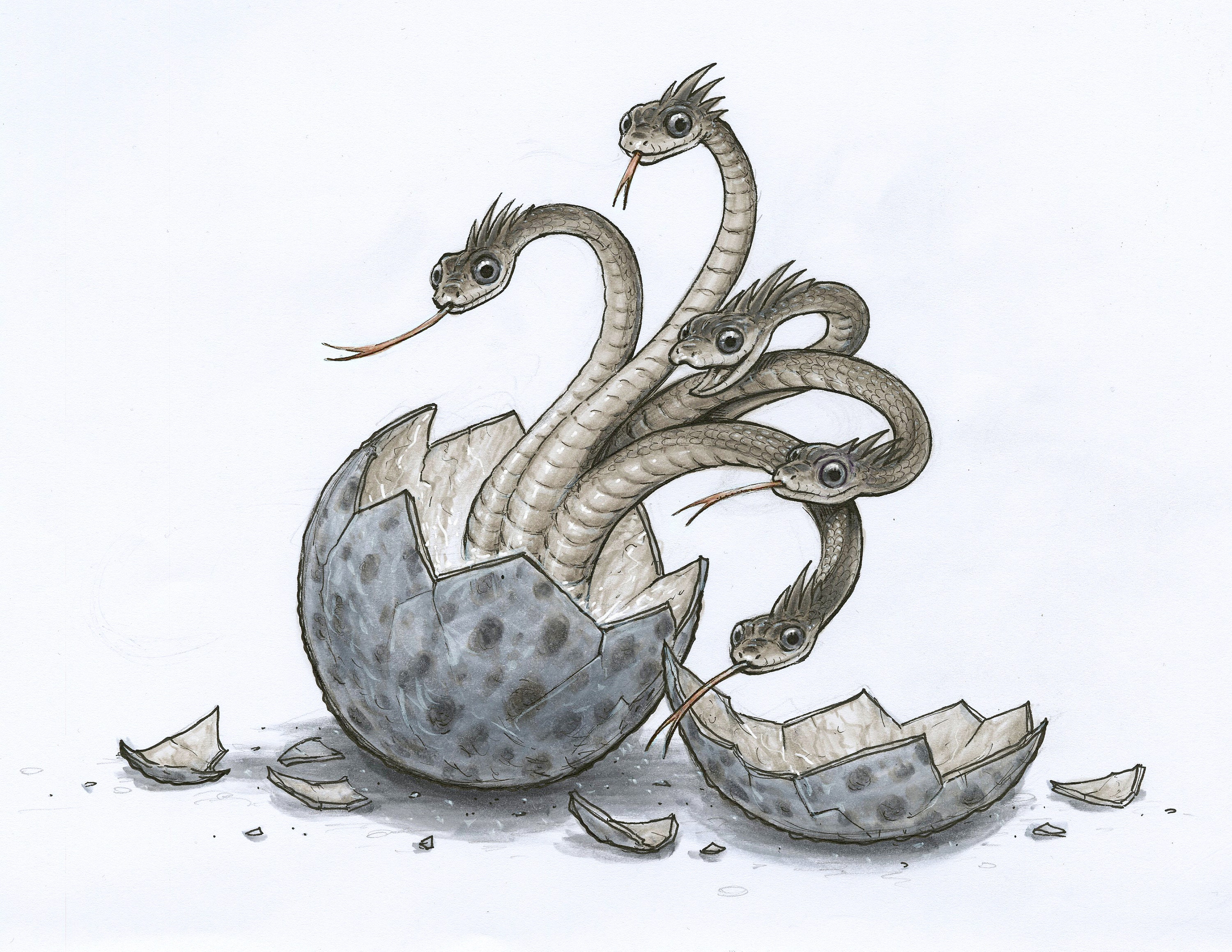 Hydra Dragon Drawing