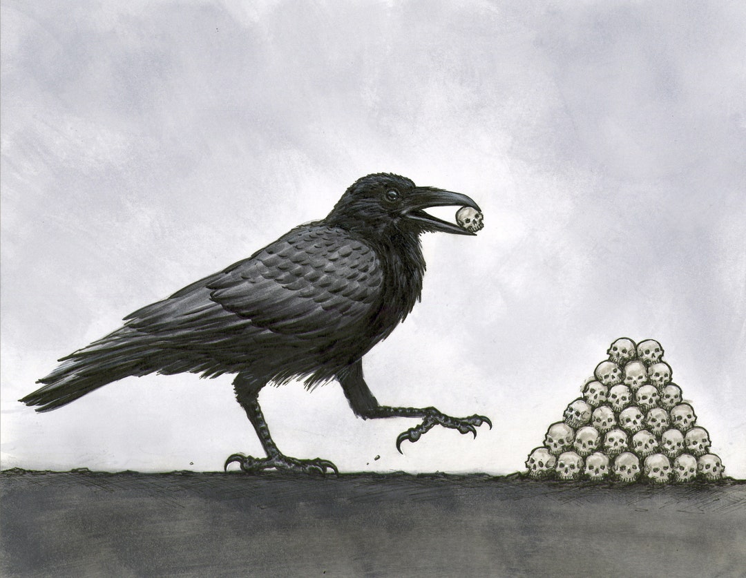 Raven Skulls Art Print, Pen & Ink Illustration (8.5x11) - Etsy