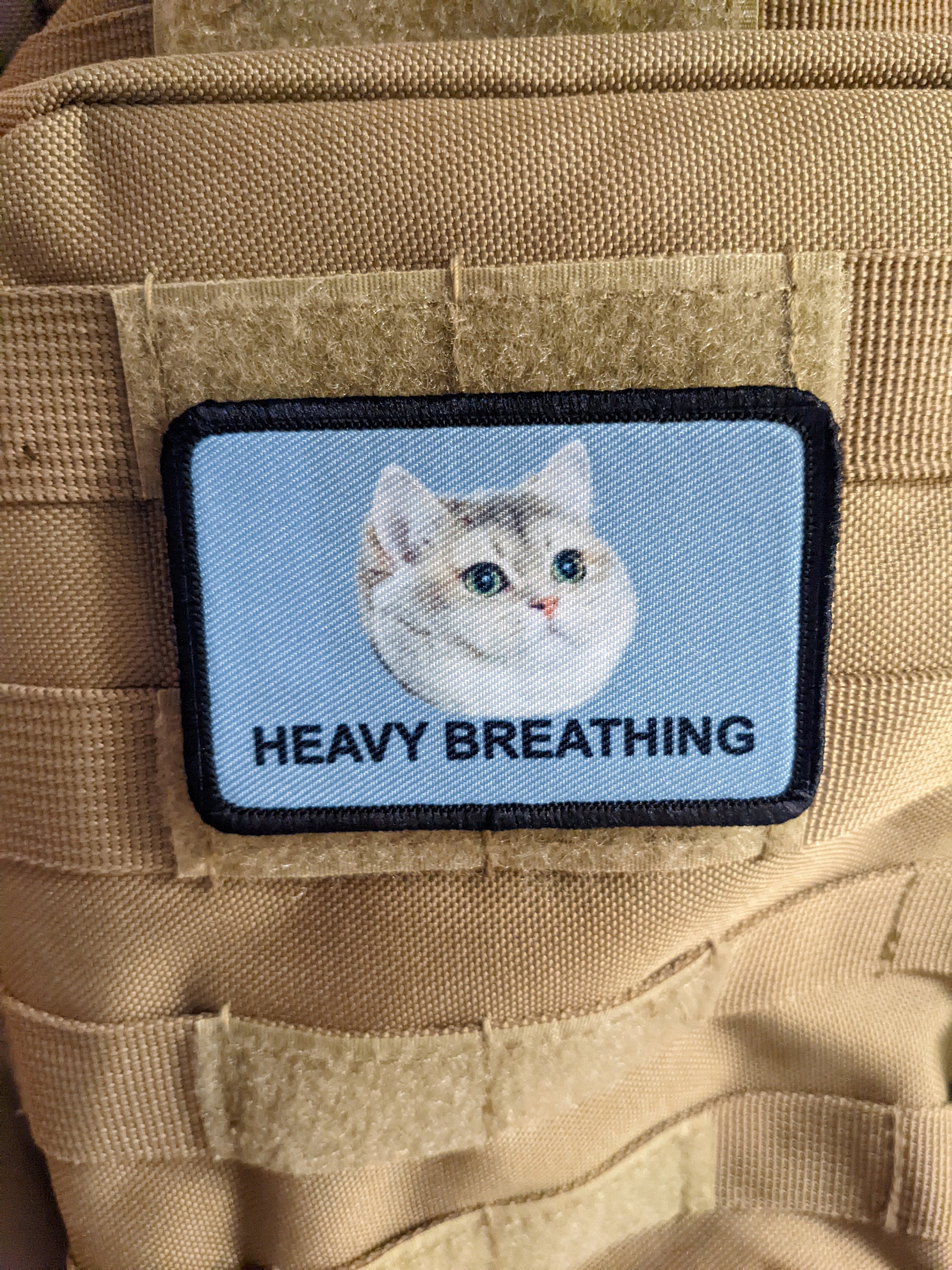 Fat Cat Meme Heavy Breathing Food