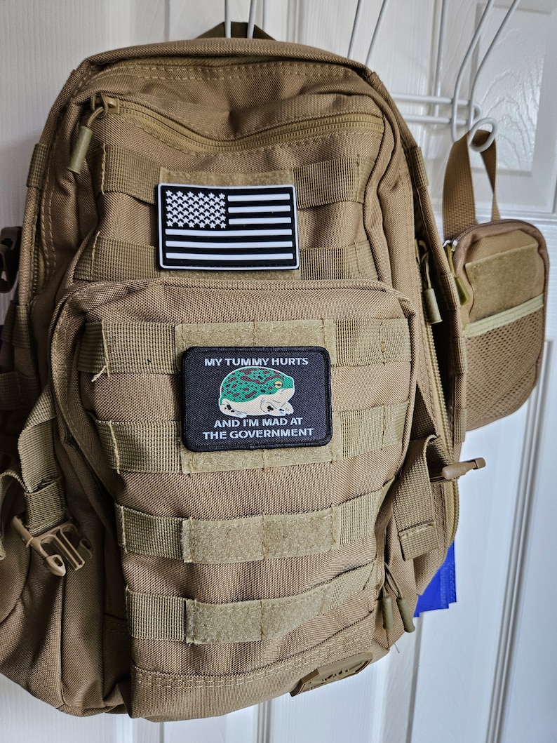 My Tummy Hurts and Im Mad at the Government Frog Meme 2"x3" Removable ...