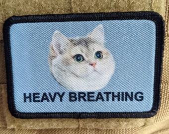 Cat Meme Funny 2x3 Morale Patch With Hook and Loop Backing - Etsy