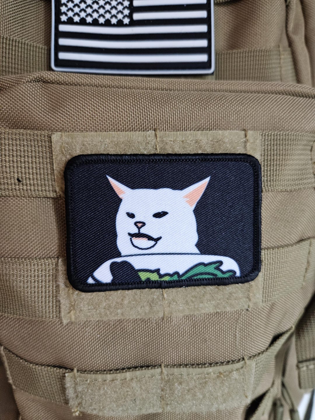 Cat Meme Funny 2"x3" Morale Patch With Hook and Loop Backing - Etsy
