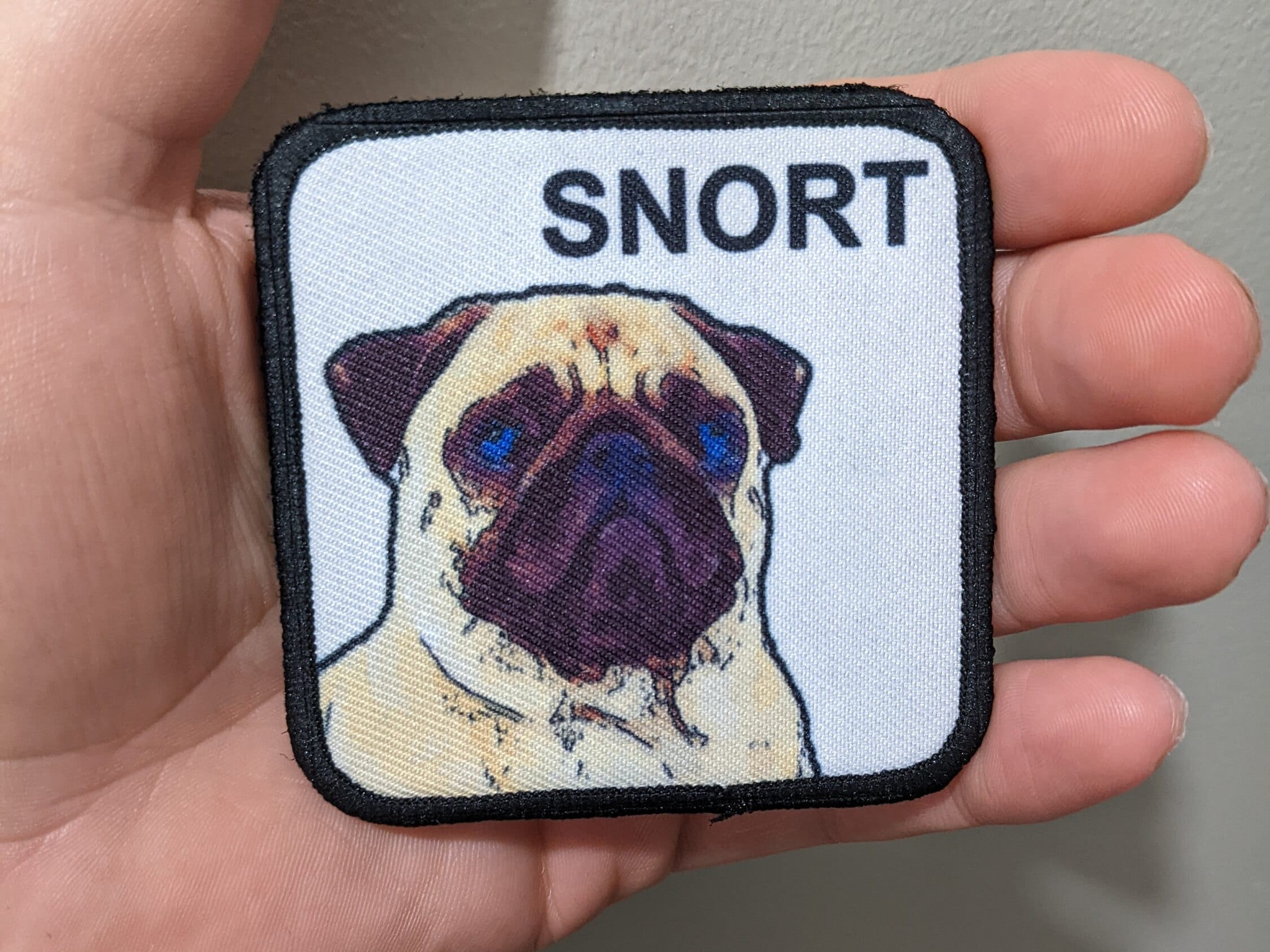 Why Do Pugs Snort