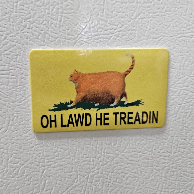 Cat Meme Fridge Magnets - Etsy