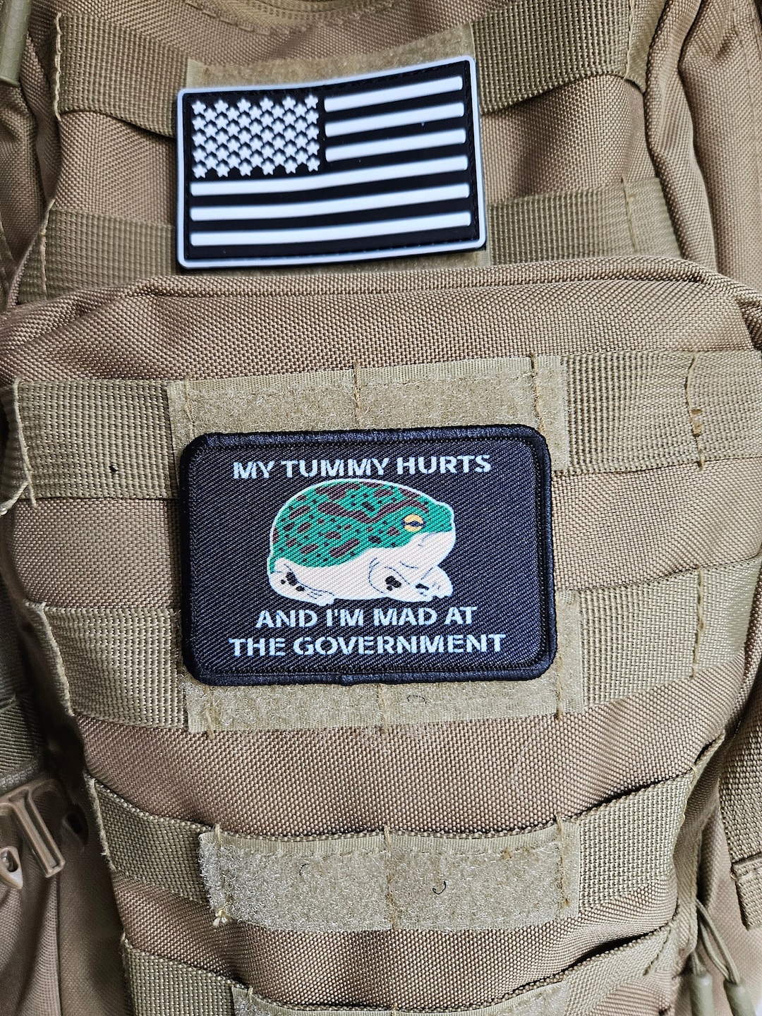 My Tummy Hurts and Im Mad at the Government Frog Meme 2"x3" Removable ...