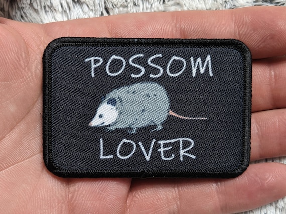 I Love Possums so Much I Want One Possum Lover 2x3 - Etsy