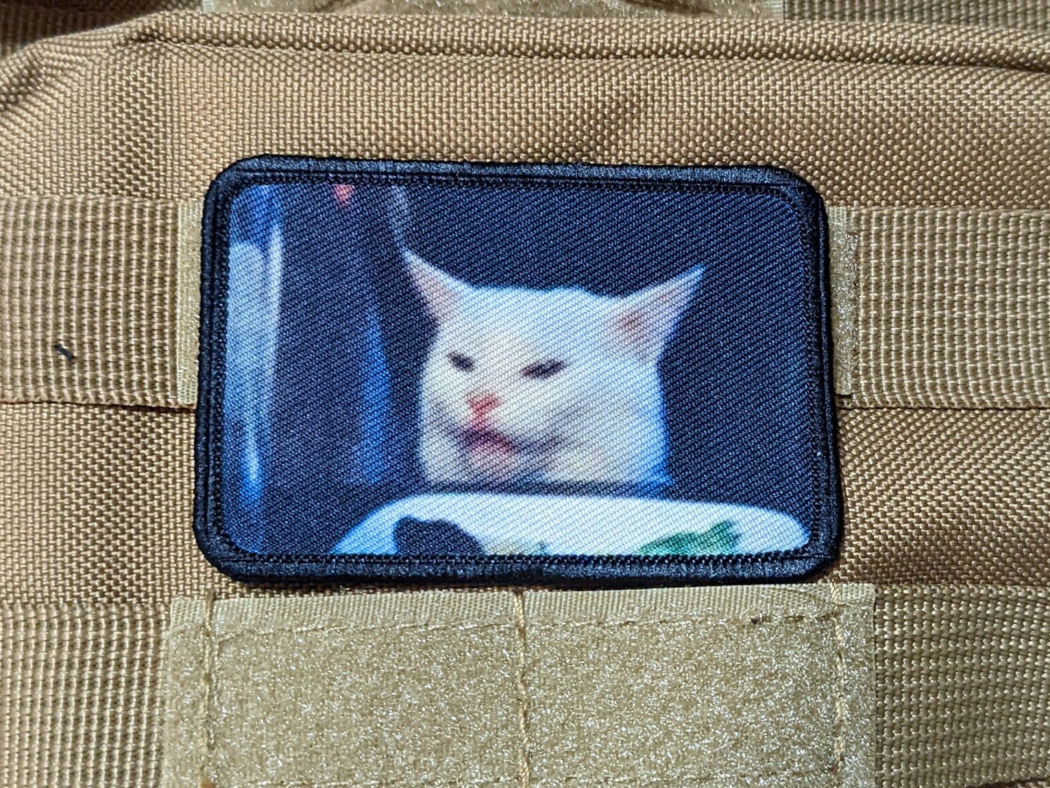 Cat Meme Funny 2x3 Morale Patch With Hook and Loop - Etsy
