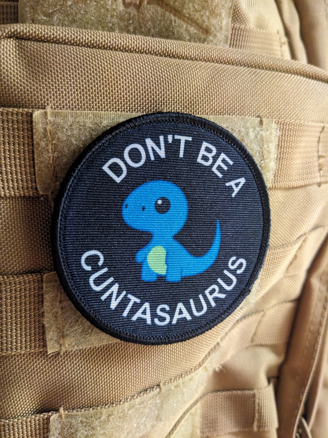 Don't Be a Cuntasaurus Dinosaur Meme 3" Circle Removable Morale Patch With Hook and Loop Backing ...