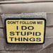 Don't Follow Me I Do Stupid Things Meme 2x3 - Etsy
