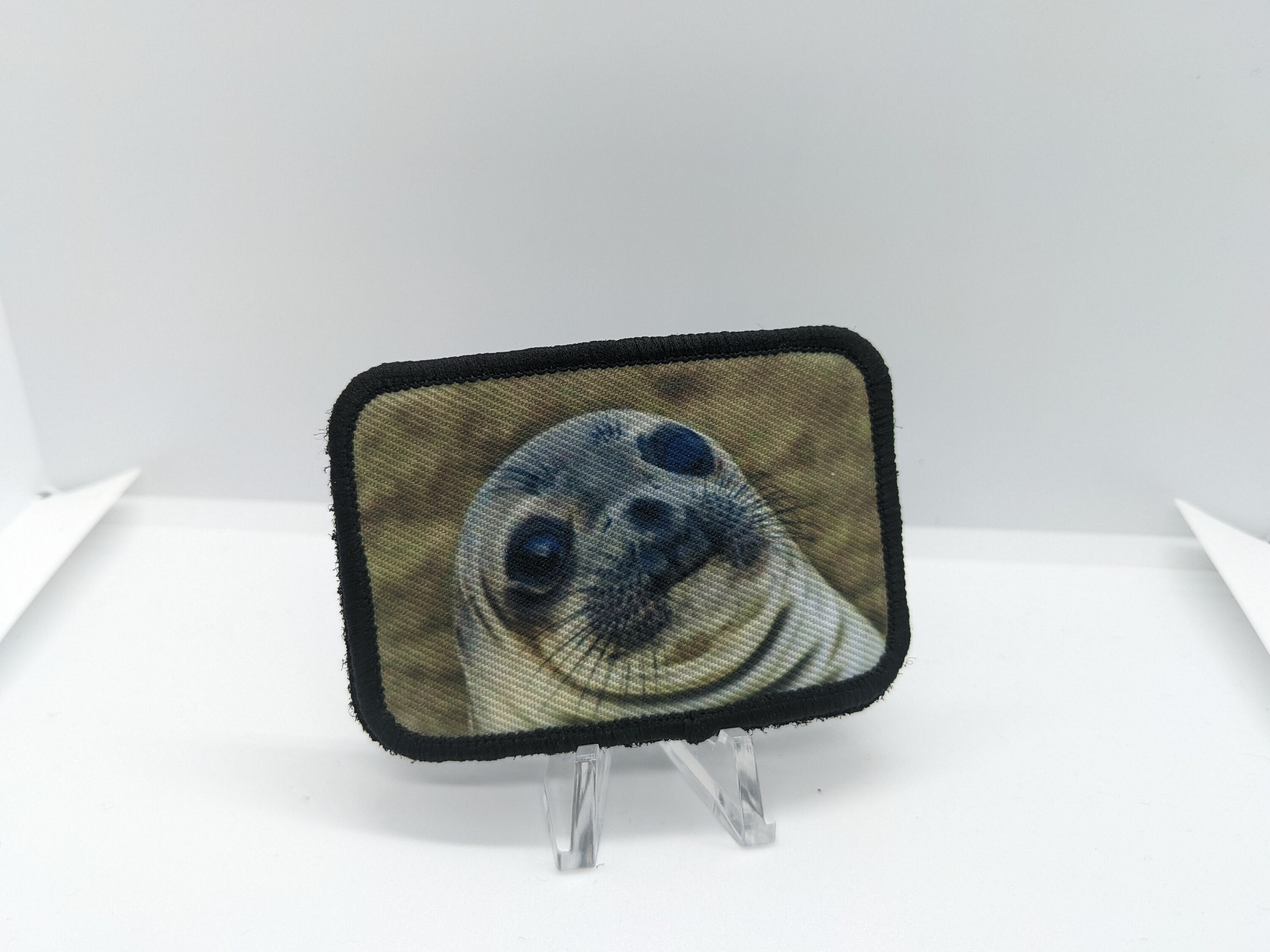 Awkward Meme Seal