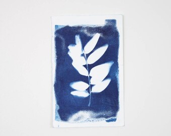 Green Botanical Cyanotype 1 PRINT / Handmade Art Print / | Etsy