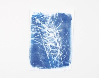 Botanical Photogram - Etsy