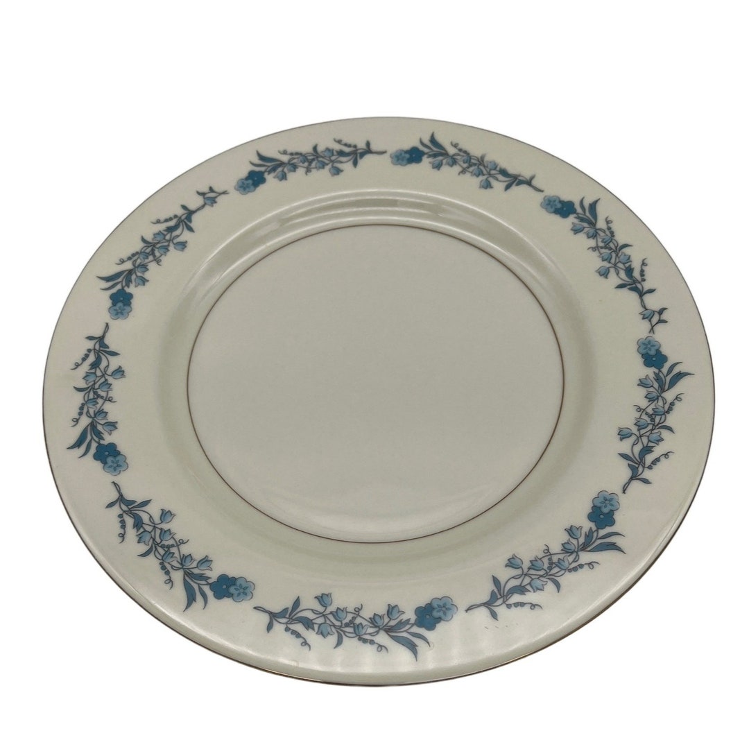 Theodore Haviland New York China Clinton Dinner Plate 10.25" America - Etsy