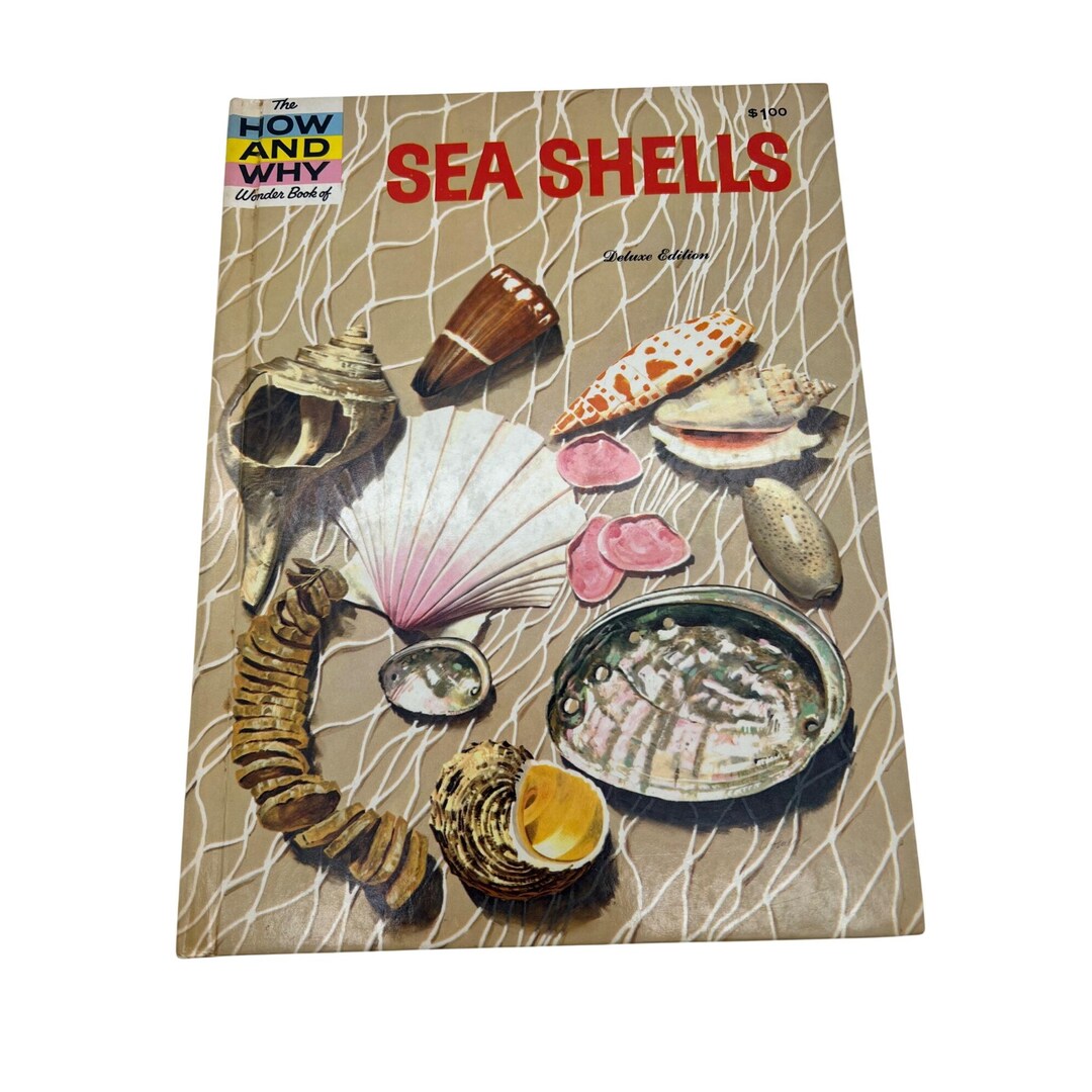 1961 How and Why Wonder Book of Sea Shells Grosset Dunlap HC ...