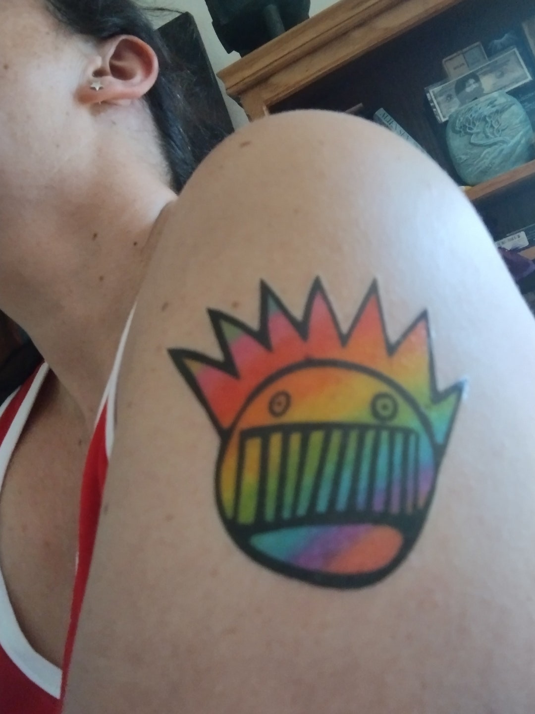 Temporary Tattoo 6-pack Rainbow Classic Boognish Ween Tats - Etsy