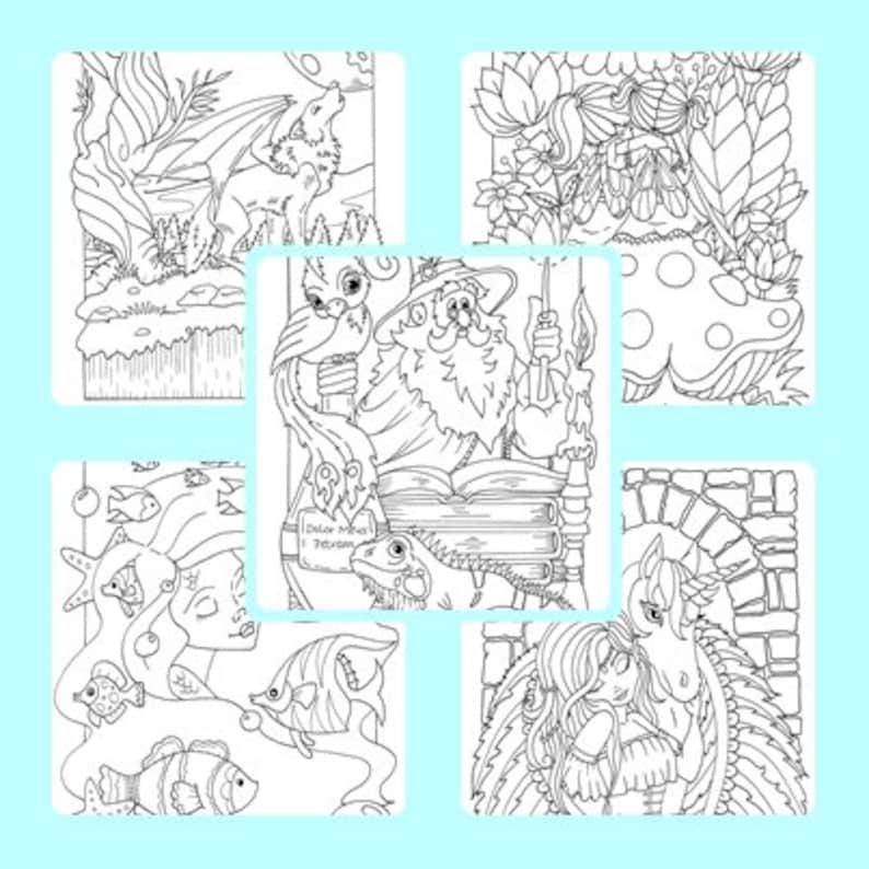 Fanciful Fantasy an Adult Coloring Book by Sassy Colouring - Etsy