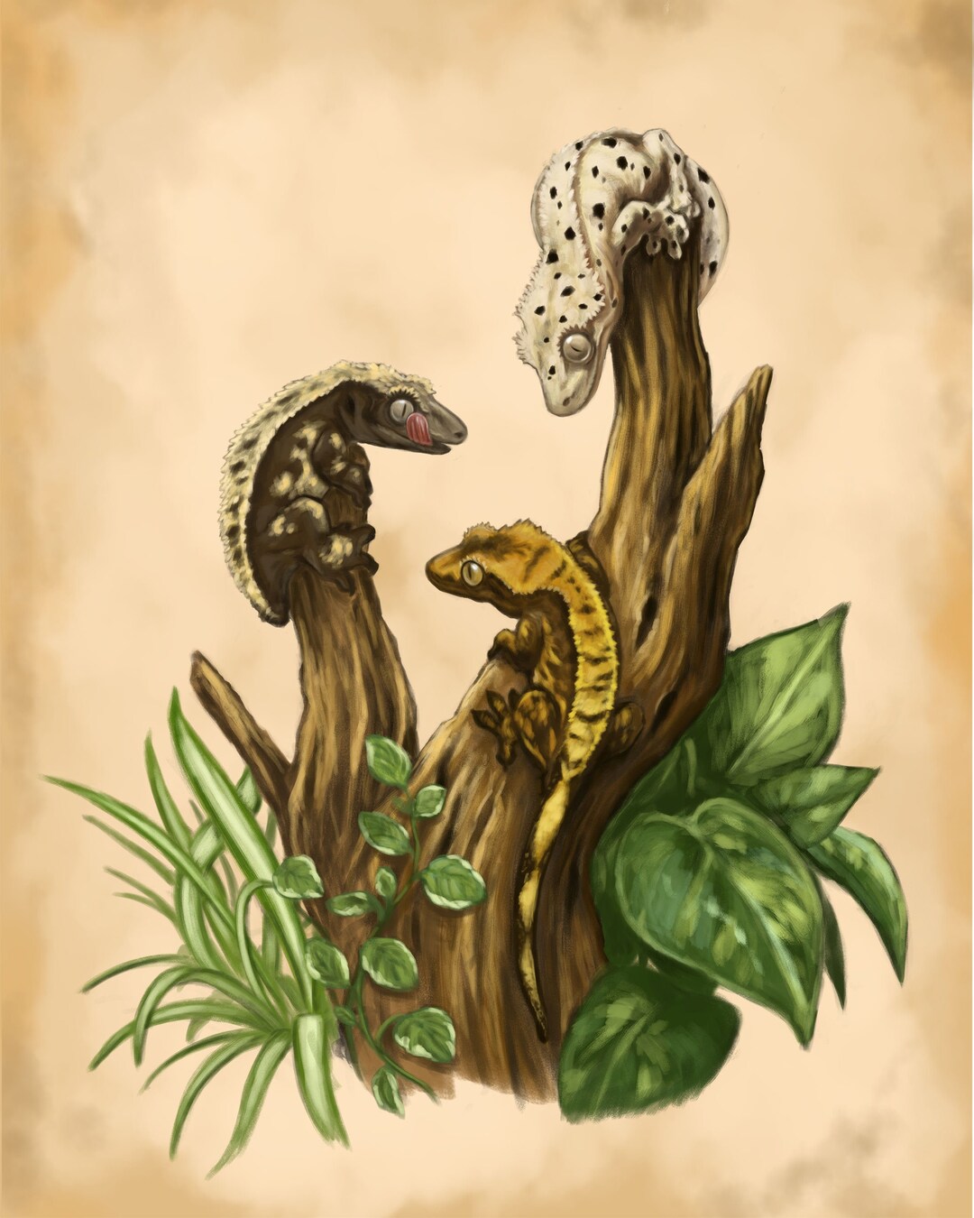 Crested Gecko Print 8x10 Print by Nate Hawks Crested Gecko Print ...