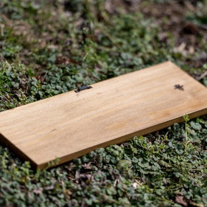 Sign on the Cross Titulus “INRI” Jesus of Nazareth King of the Jews ...