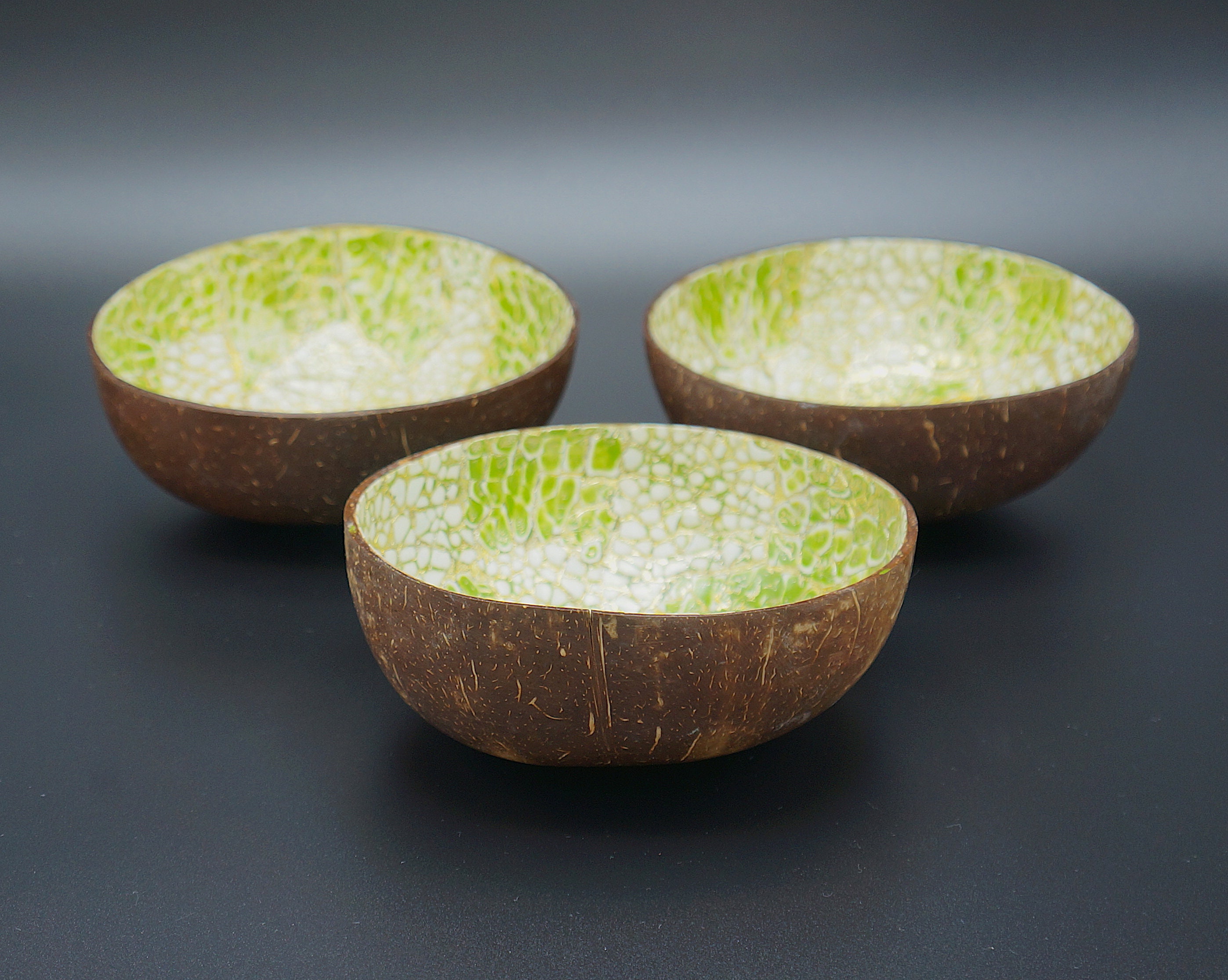 Cuencos de coco cocos decorativos cuencos de servir cuencos | Etsy