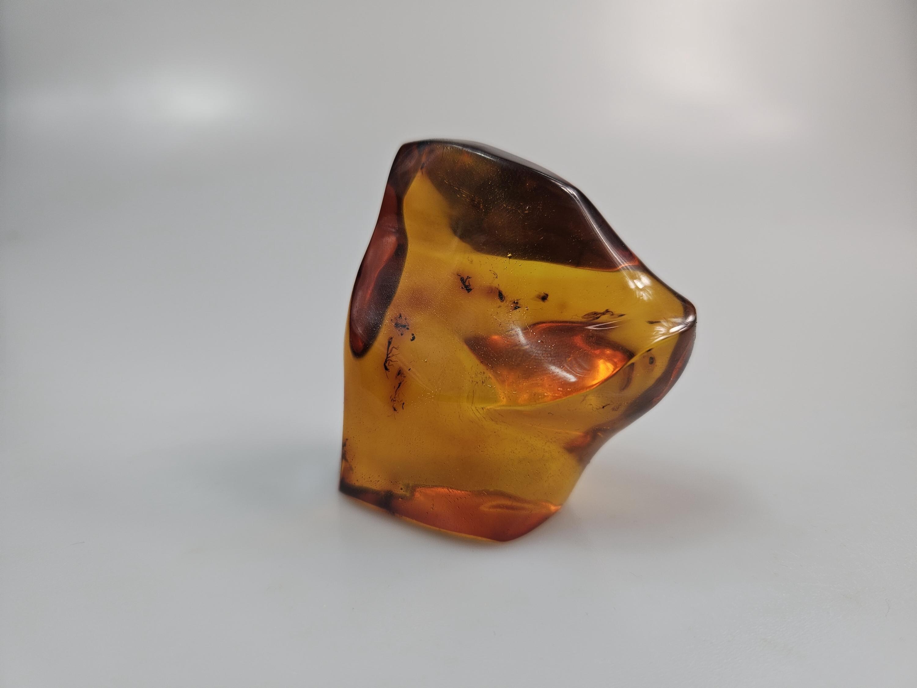 Amber Insect. Amber Inclusion. Bug Amber. Fossil in Amber. Bernstein ...