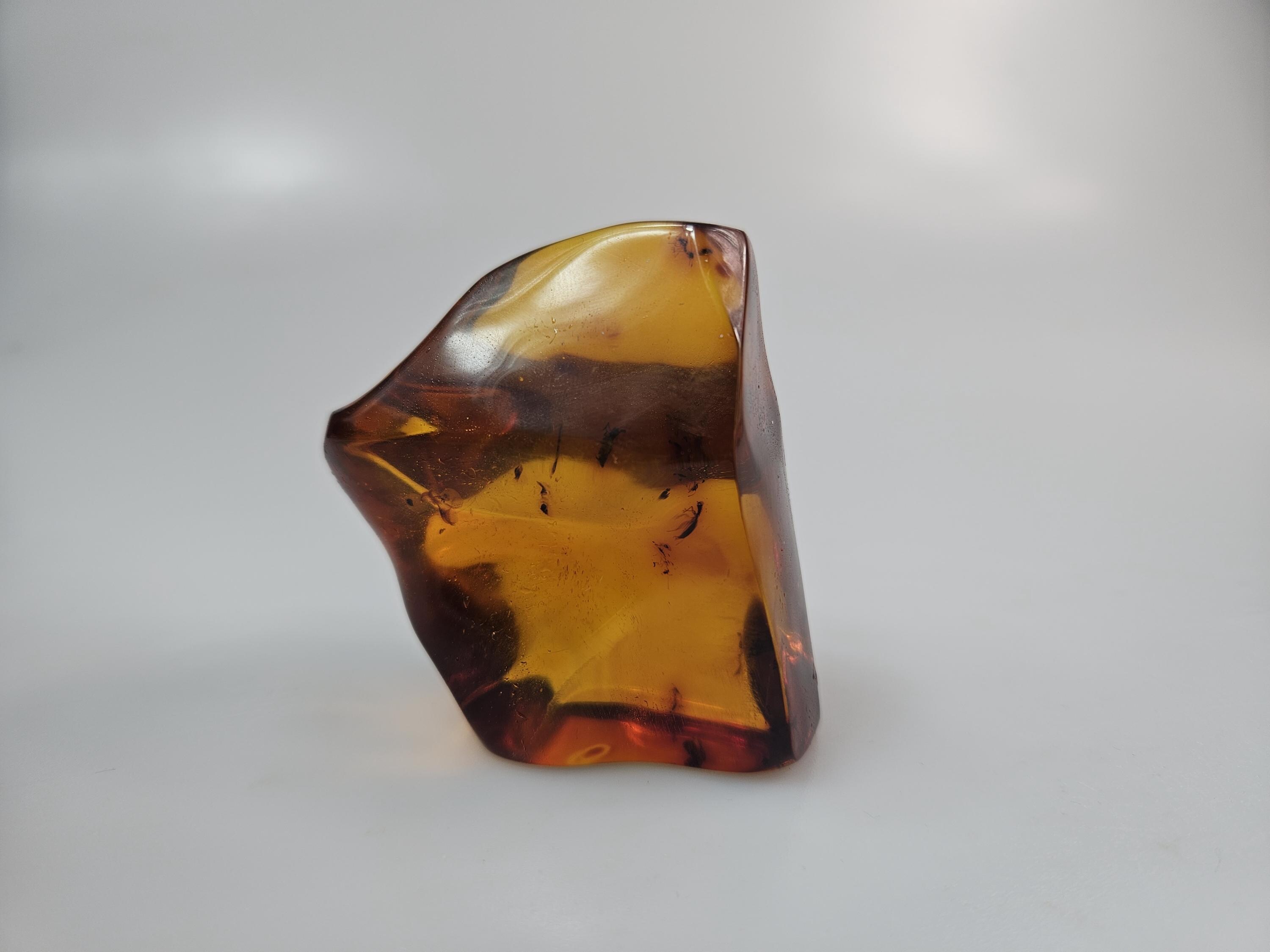 Amber Insect. Amber Inclusion. Bug Amber. Fossil in Amber. Bernstein ...