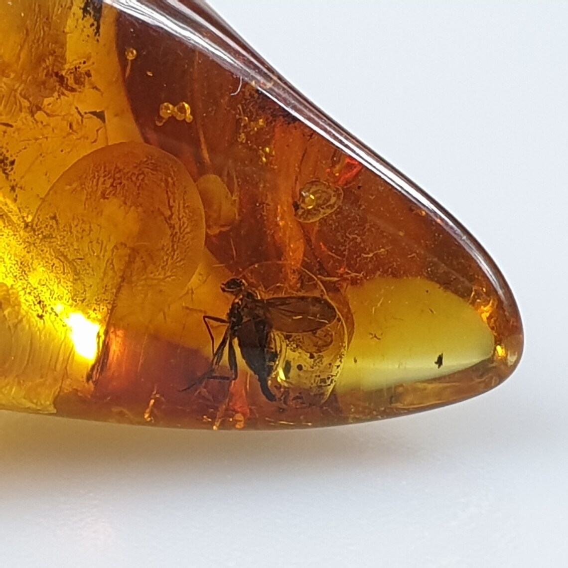 Amber Insect. 3 Flys Amber Inclusion. Fossil in Amber. Bug in - Etsy