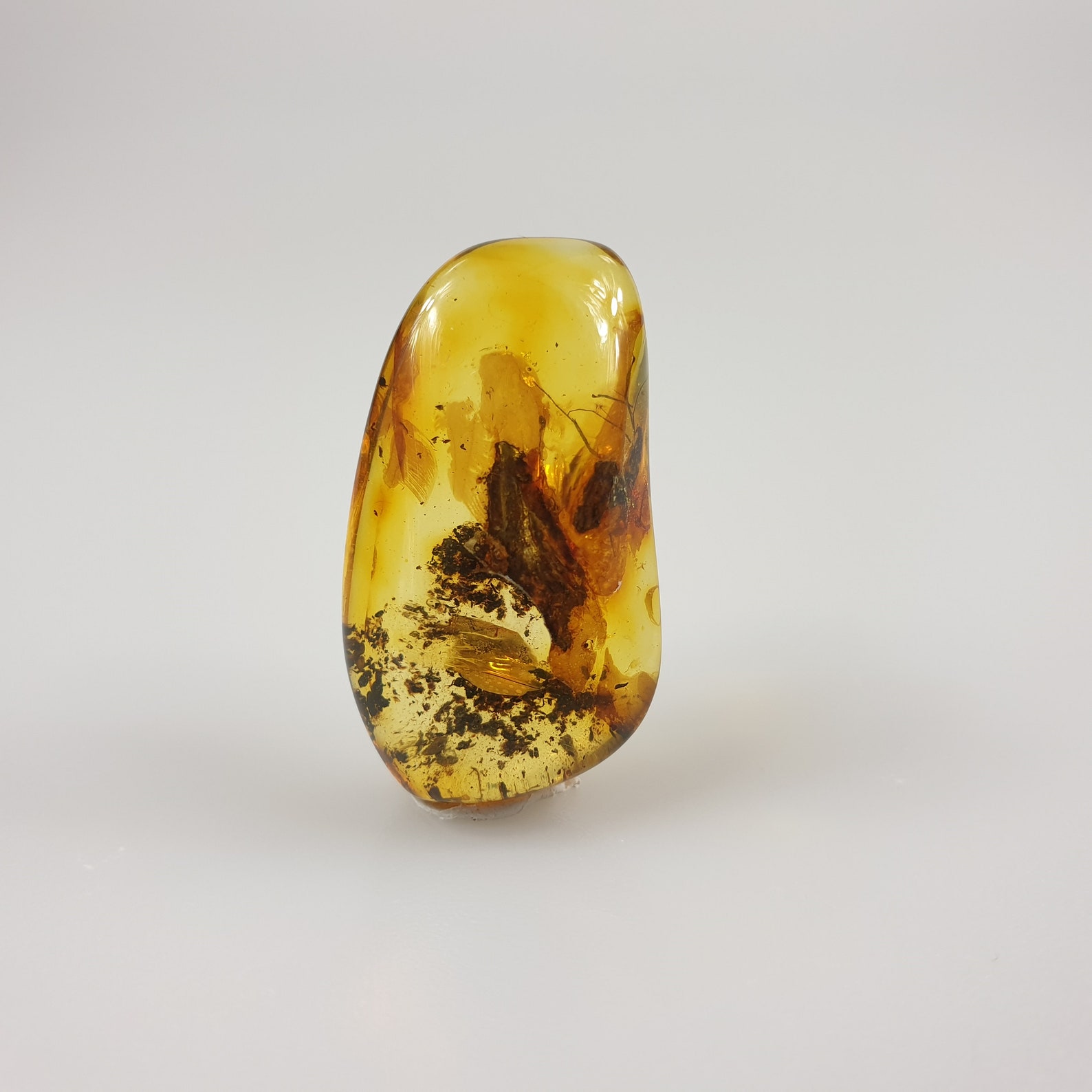 Amber Insect. Amber Bug. Amber Fossil. Inklusion in Amber. - Etsy