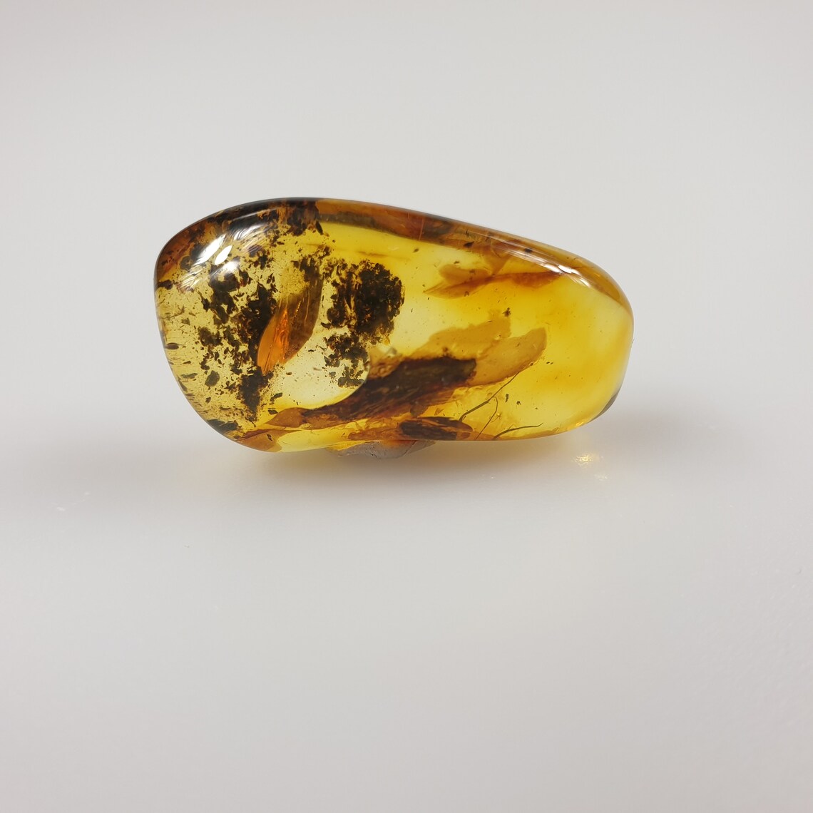 Amber Insect. Amber Bug. Amber Fossil. Inklusion in Amber. - Etsy