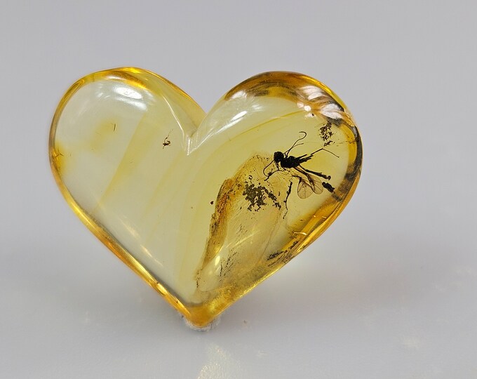 Amber Insect. 3 Flys Amber Inclusion. Fossil in Amber. Bug in Amber ...