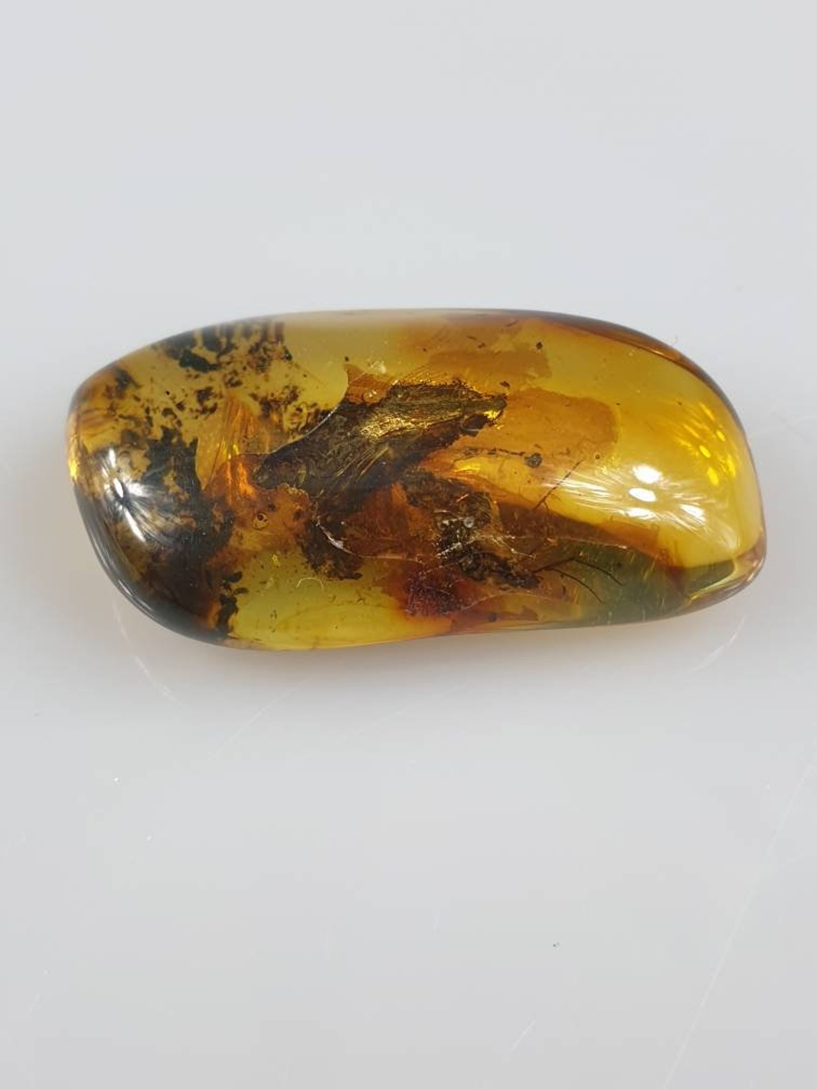 Amber insect. Amber bug. Amber fossil. Inklusion in Amber. | Etsy