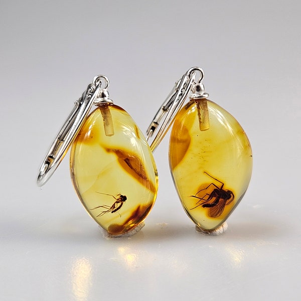 Amber With Insect - Etsy