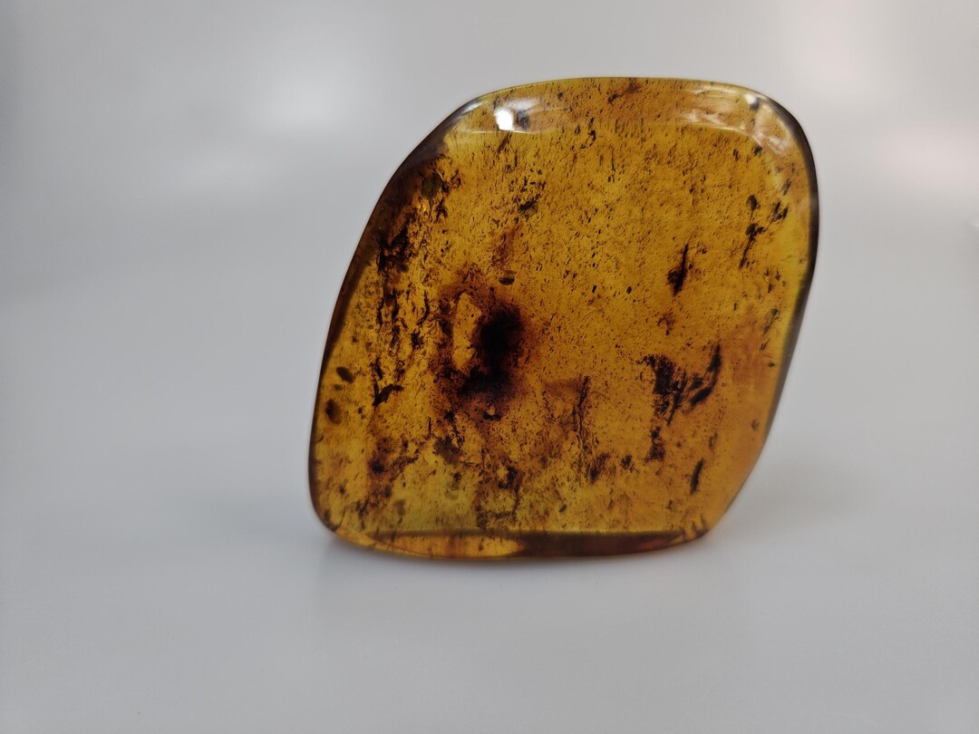 Amber Without Insect Amber Fossil. Bug Amber. Amber Inclusions. Amber ...