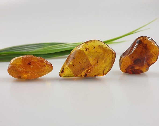 Amber Insect. 3 Flys Amber Inclusion. Fossil in Amber. Bug in Amber ...