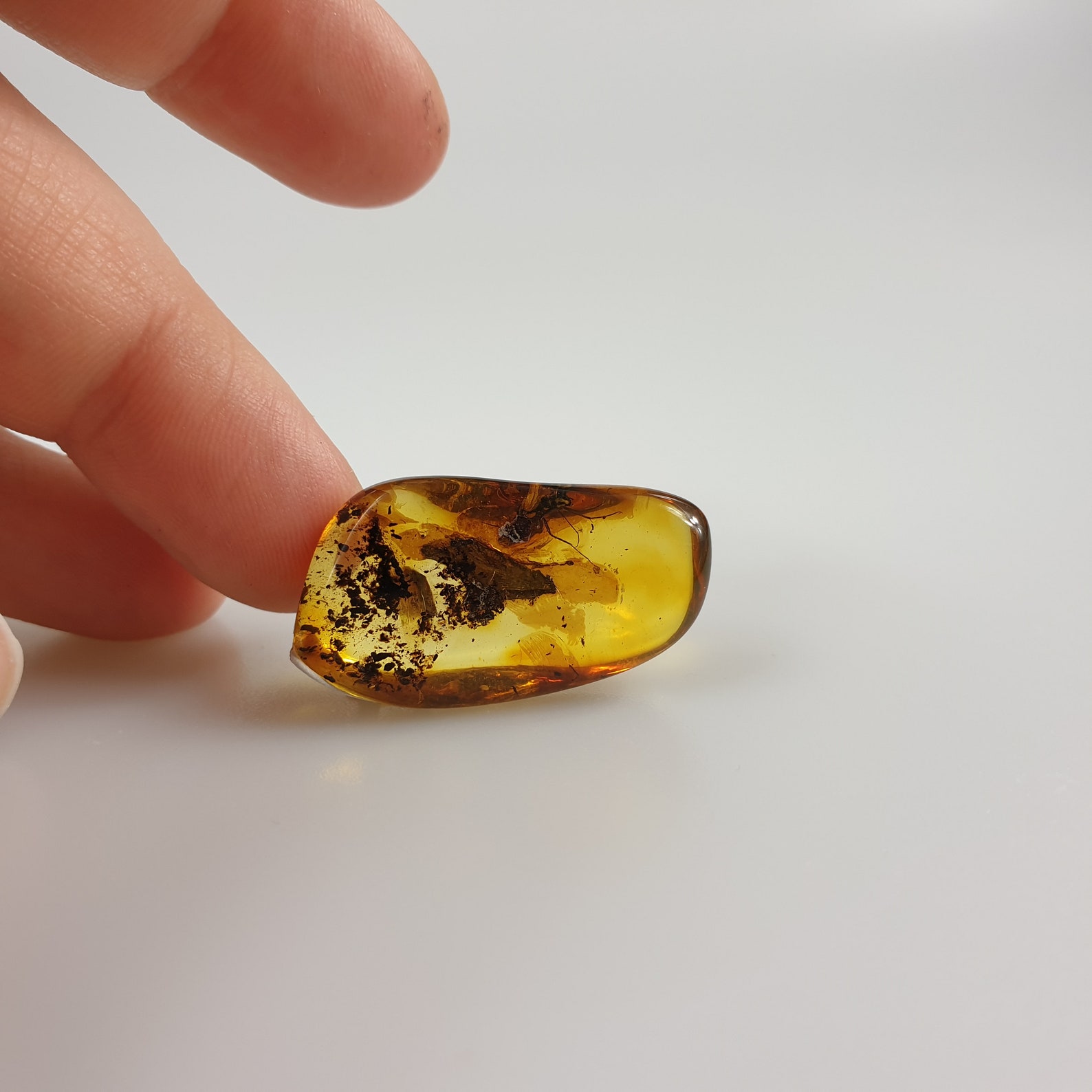 Amber Insect. Amber Bug. Amber Fossil. Inklusion in Amber. - Etsy