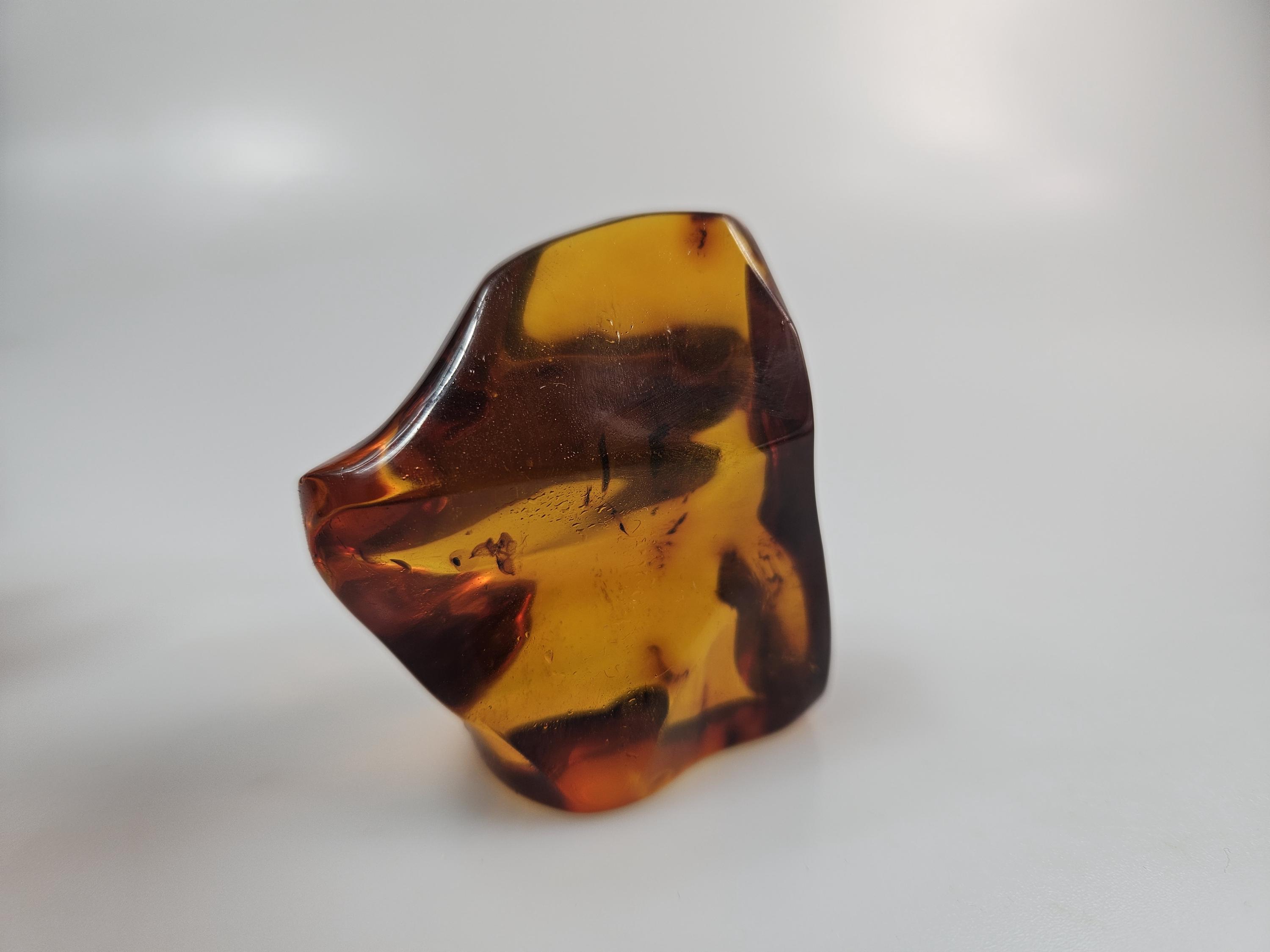 Amber Insect. Amber Inclusion. Bug Amber. Fossil in Amber. Bernstein ...