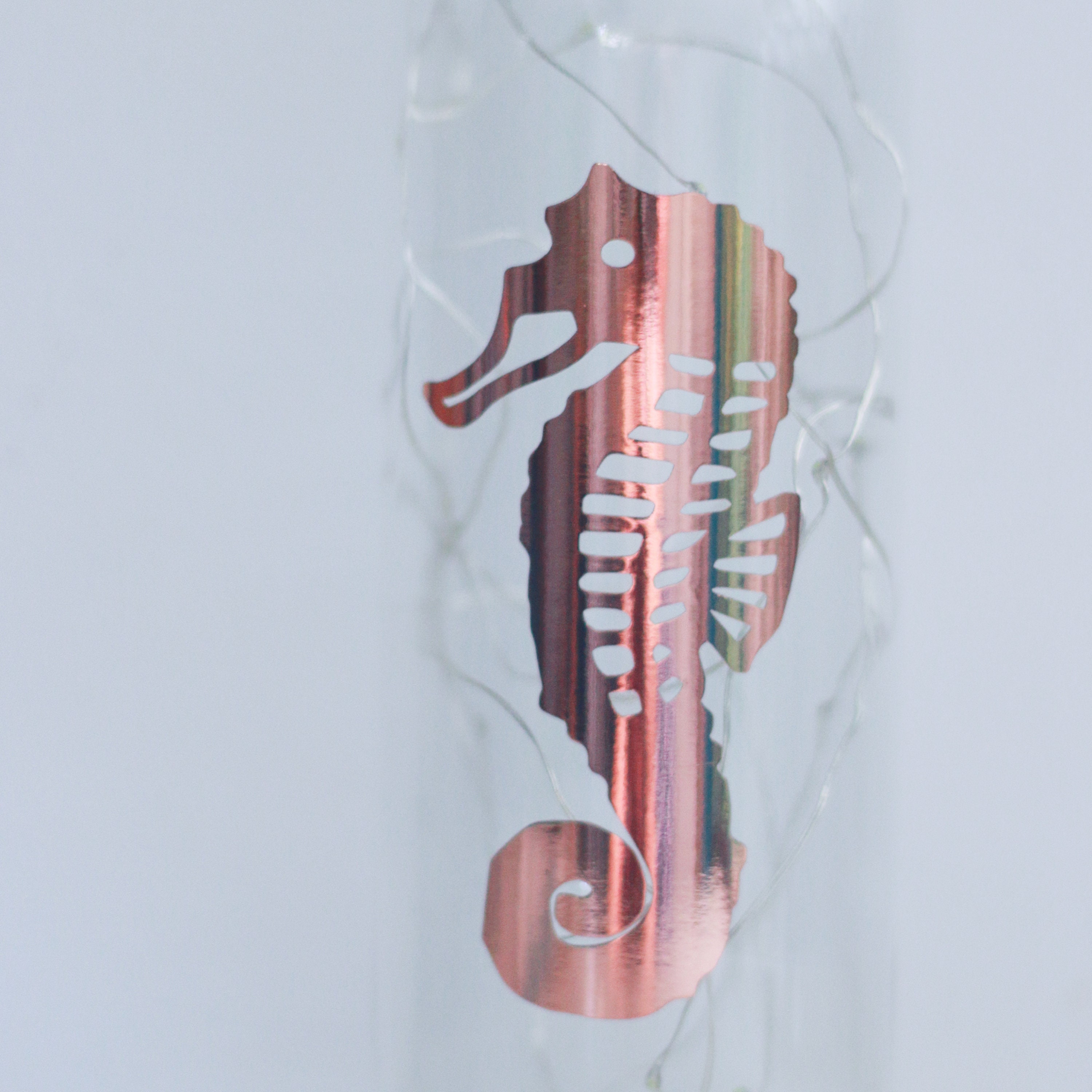 Seahorse Gifts for Girls Boys Can Be Personalised Bottle - Etsy