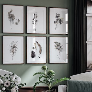 Elegant Gallery Wall Decor: Set of 6 Botanical Art Prints in Beige and ...
