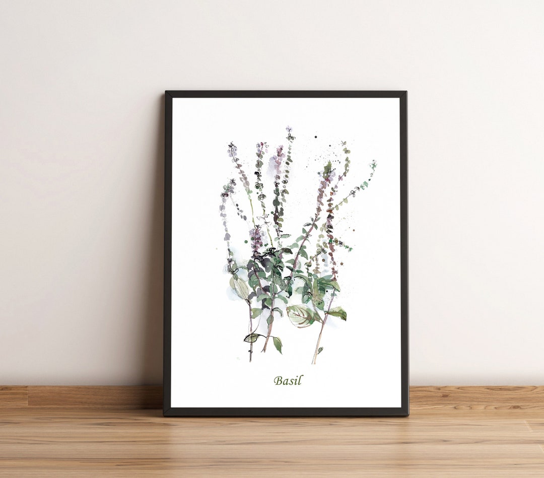 Basil Herb Art Print: Kitchen Wall Decor - Etsy