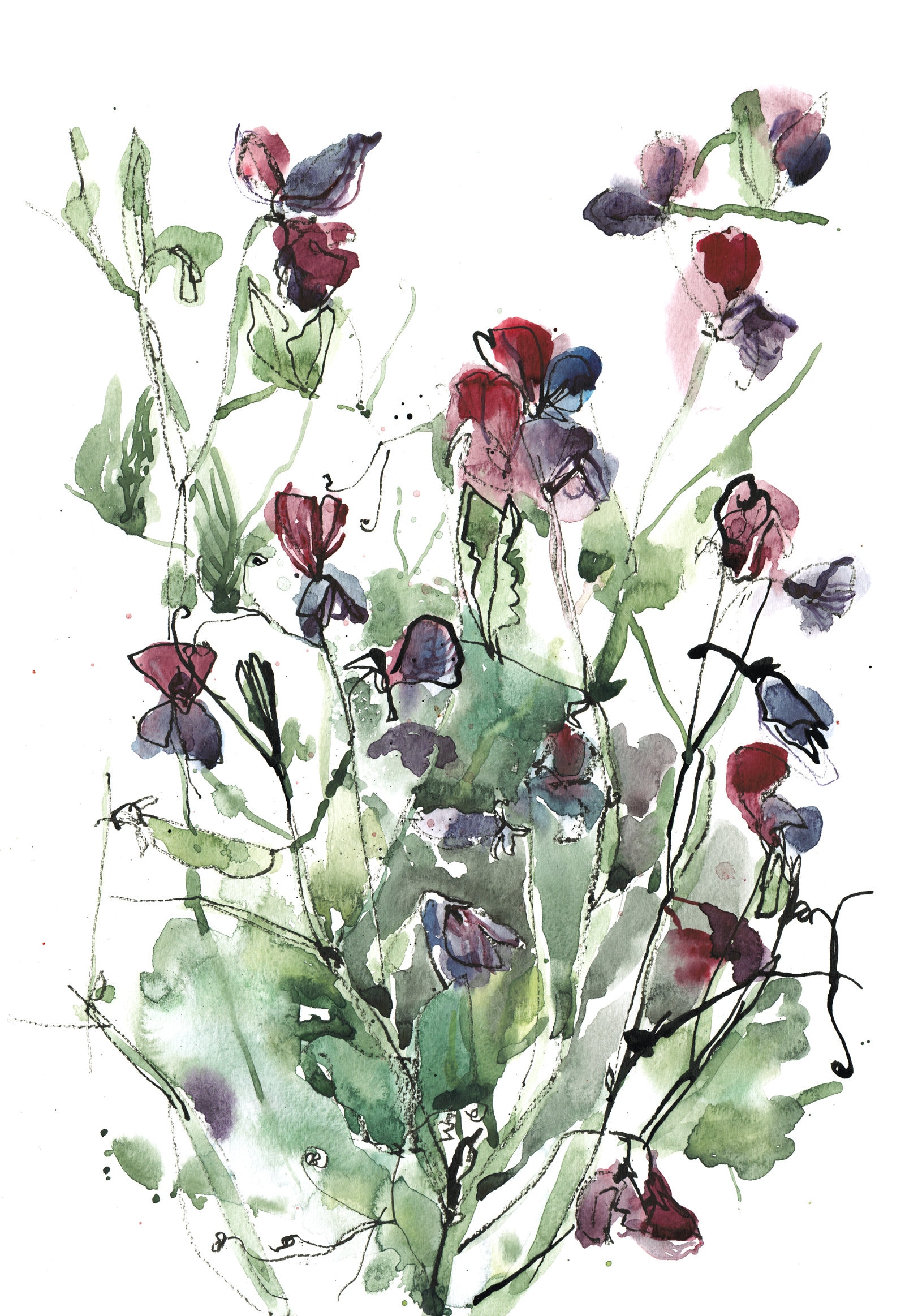 Sweet Pea Print Watercolor Painting Sweet Pea Poster Floral | Etsy